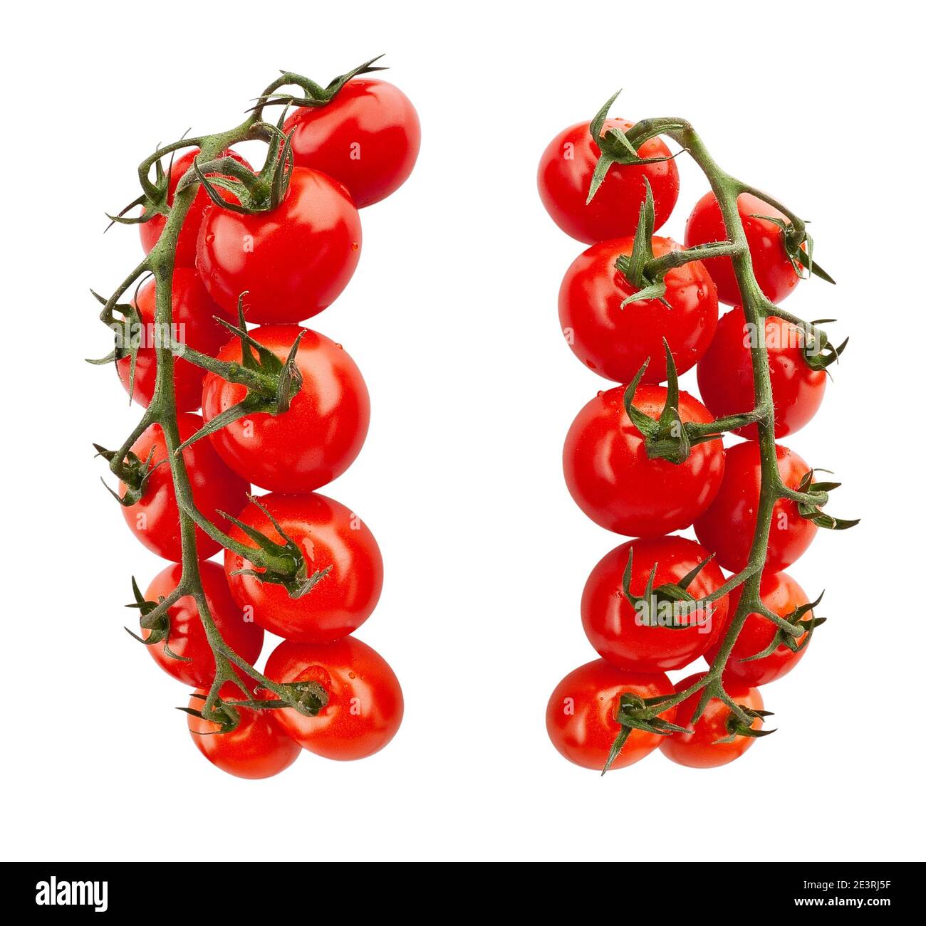 cherry tomato branch path isolated on white top view Stock Photo - Alamy