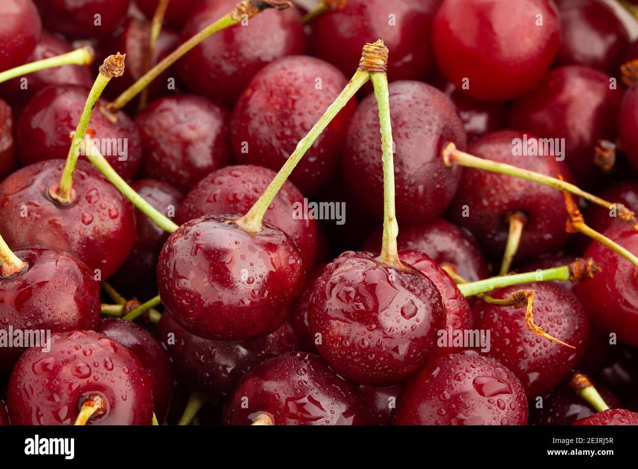 Sour cherry hi-res stock photography and images - Alamy