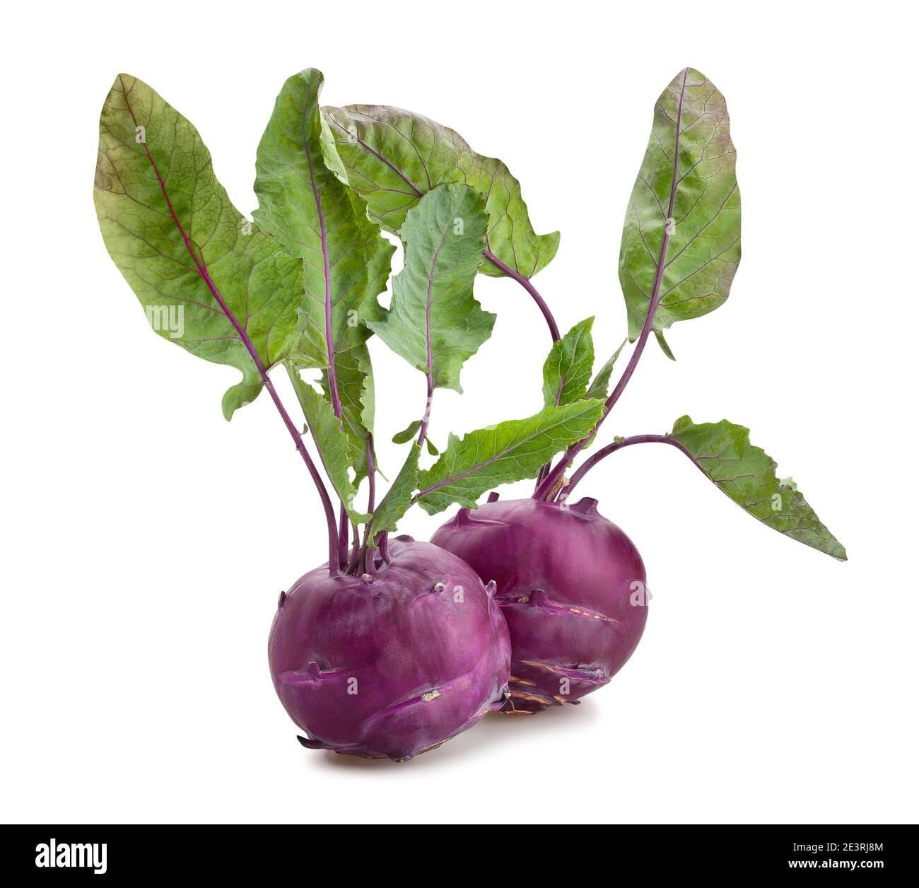 purple kohlrabi path isolated on white Stock Photo - Alamy