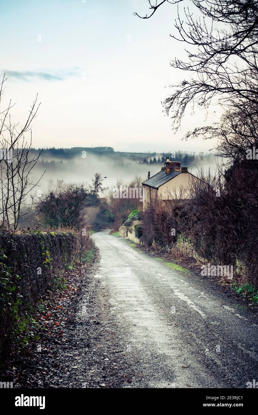 Cold and wet hi-res stock photography and images - Alamy