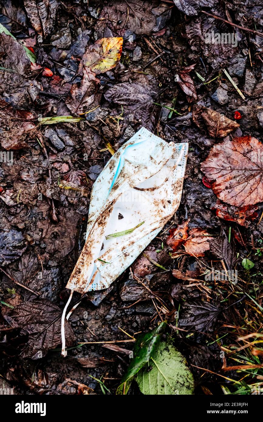A single use coronavirus mask dropped on the ground among leaves and ...