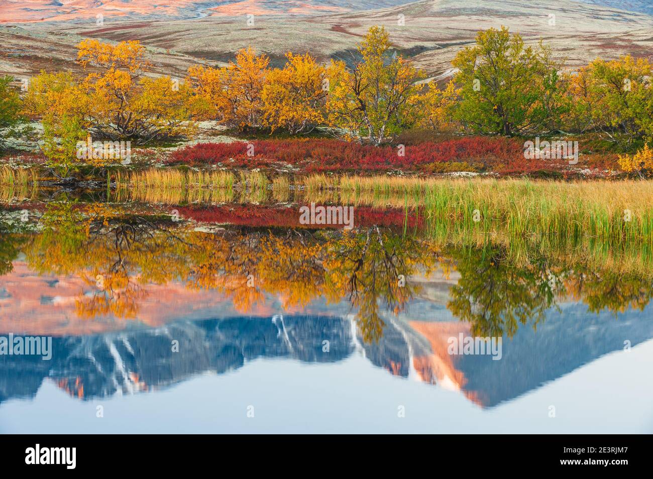 Norway colors hi-res stock photography and images - Alamy