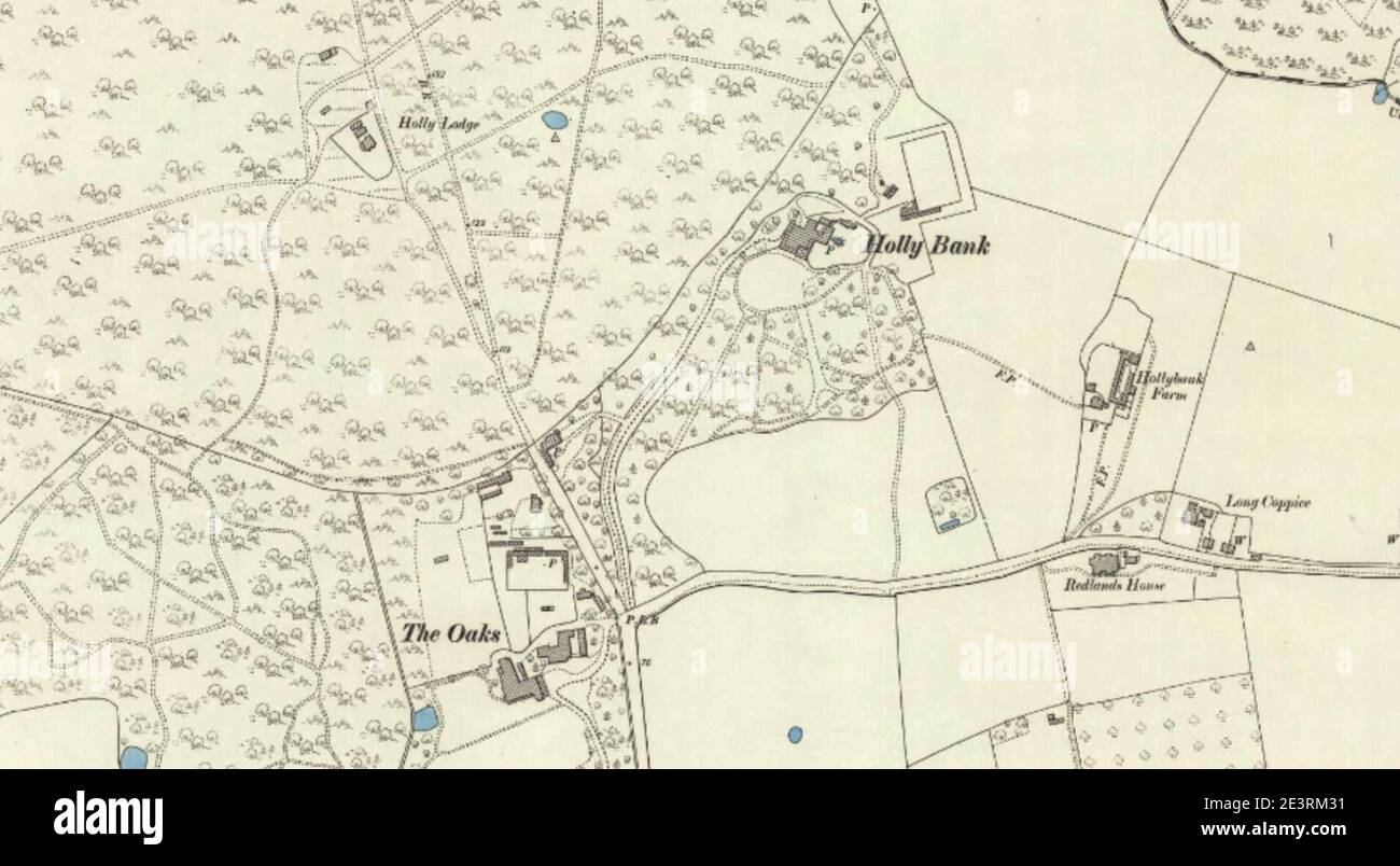 Hollybank High Resolution Stock Photography and Images - Alamy