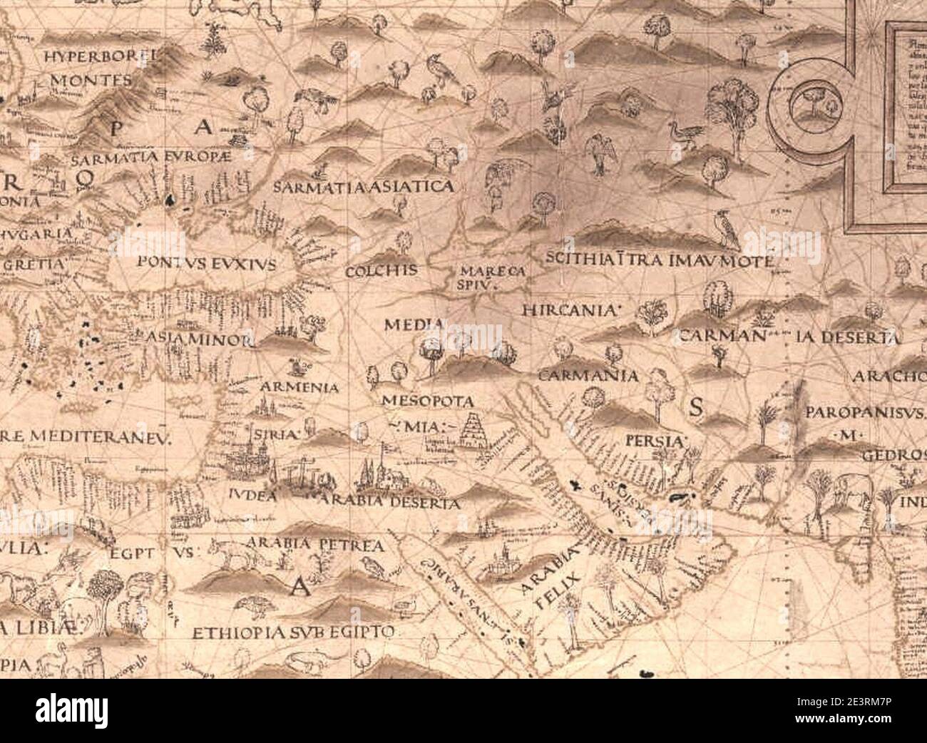 Diego ribero hi-res stock photography and images - Alamy