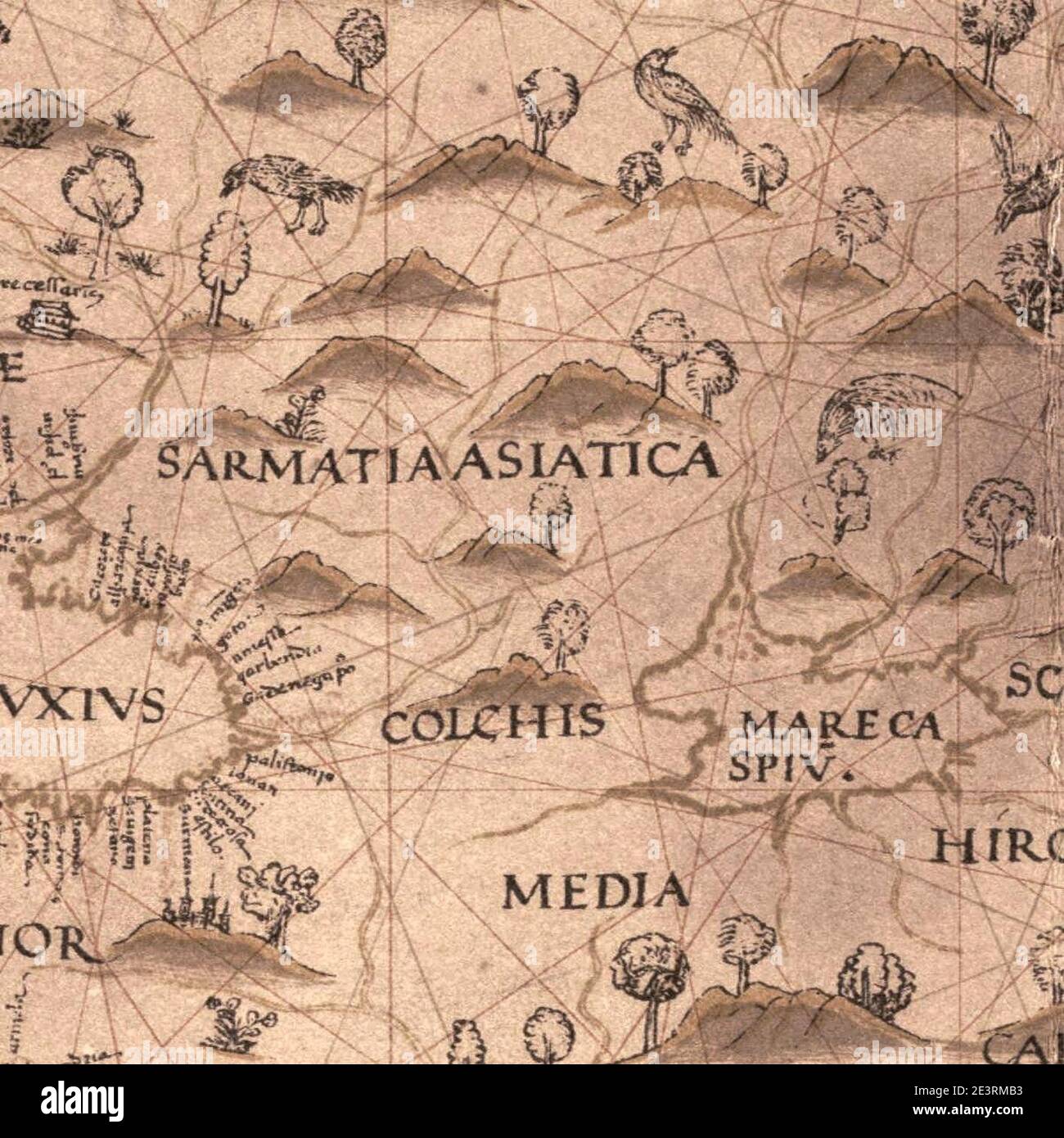 Map Diego Ribero 1529.B Stock Photo - Alamy