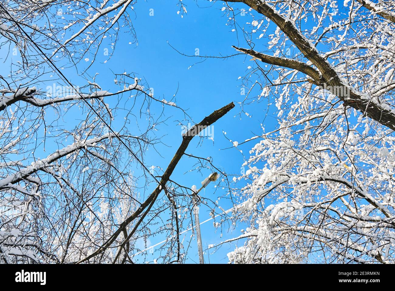 Broken tree branches fell on electric power lines. Weather collapse ...