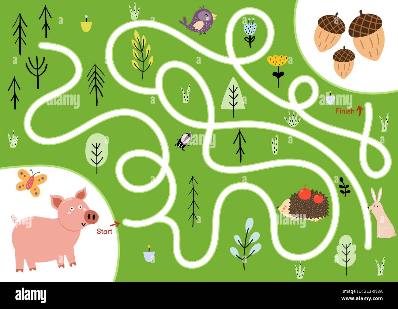 Help the cute hungry pig find path to acorns. Choose the correct way ...