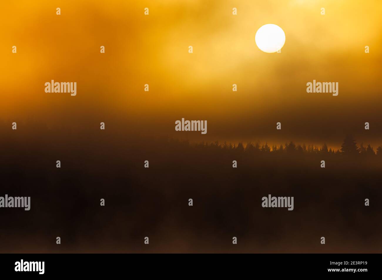 Sun rising above forest, Sweden Stock Photo - Alamy