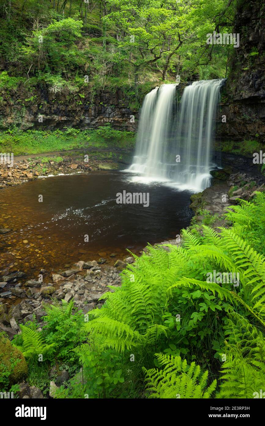 Sgwd yr Eira (Fall of Snow) waterfall on the Afon Hepste river in the ...