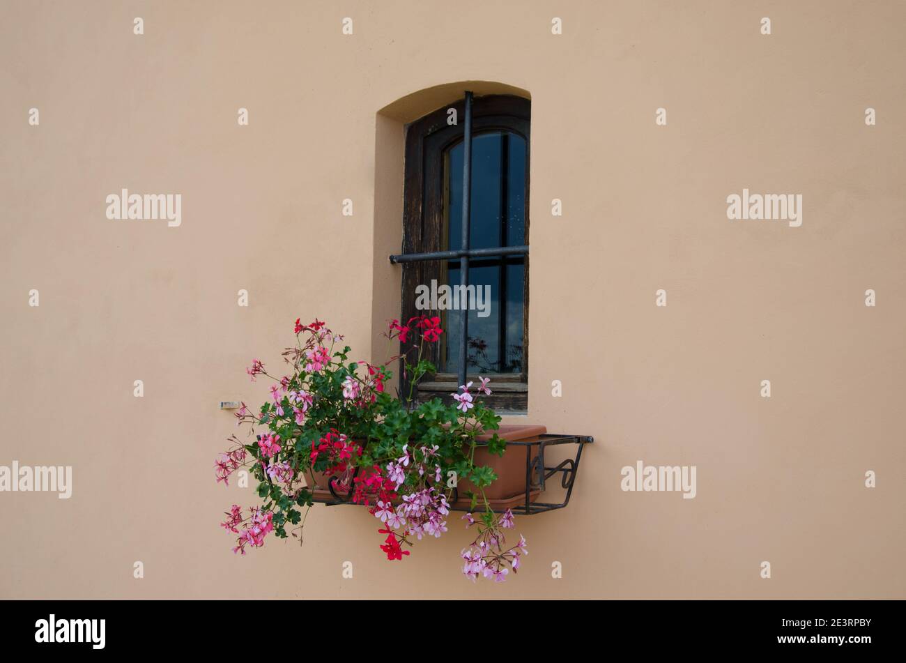 Rose flower in village home hi-res stock photography and images - Alamy