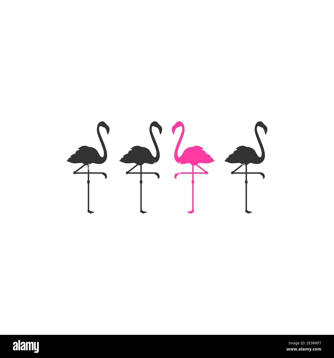 Pink Flamingo logo. black standing pinguin and one purple one. Creative ...