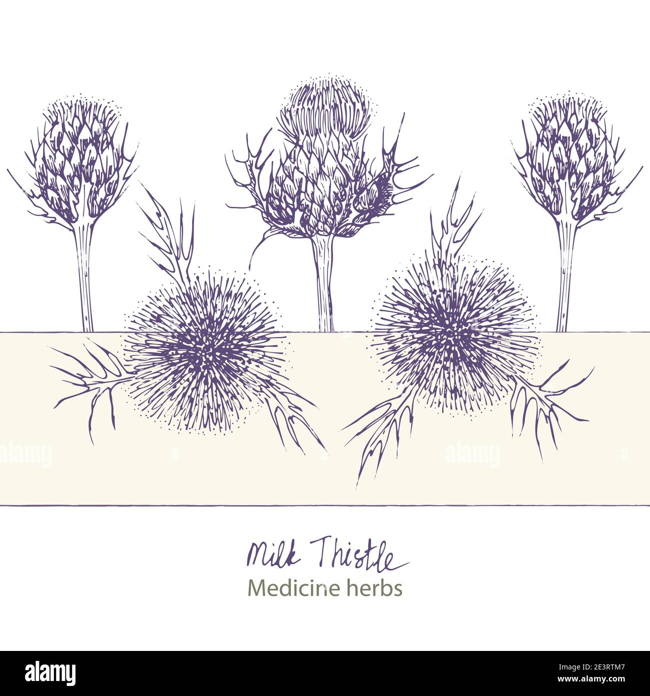 Milk tea in vintage Stock Vector Images - Alamy