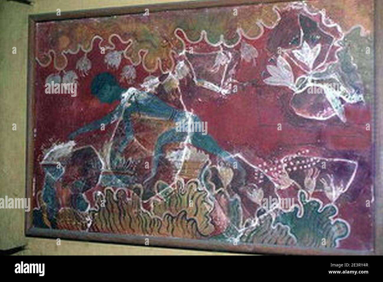 Man gathering saffron Knossos Crete crocus sativus fresco Stock Photo ...