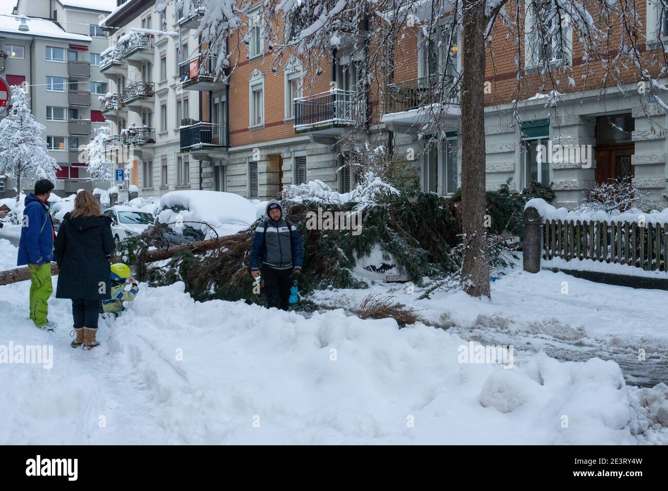 Zurich, Switzerland - January 15th 2021: A tree blocks a street due to ...