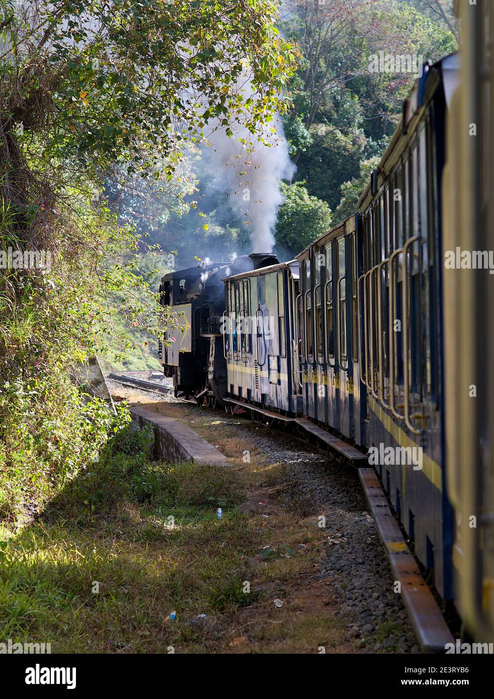 Nilgiri Mountain Railway, India Stock Photo - Alamy