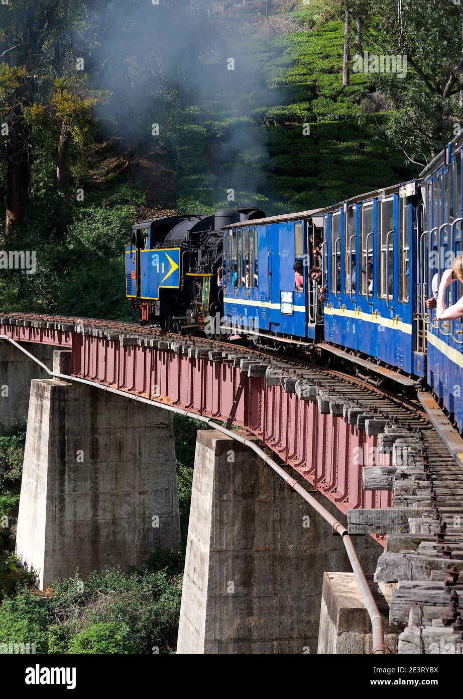 Nilgiri Mountain Railway, India Stock Photo - Alamy