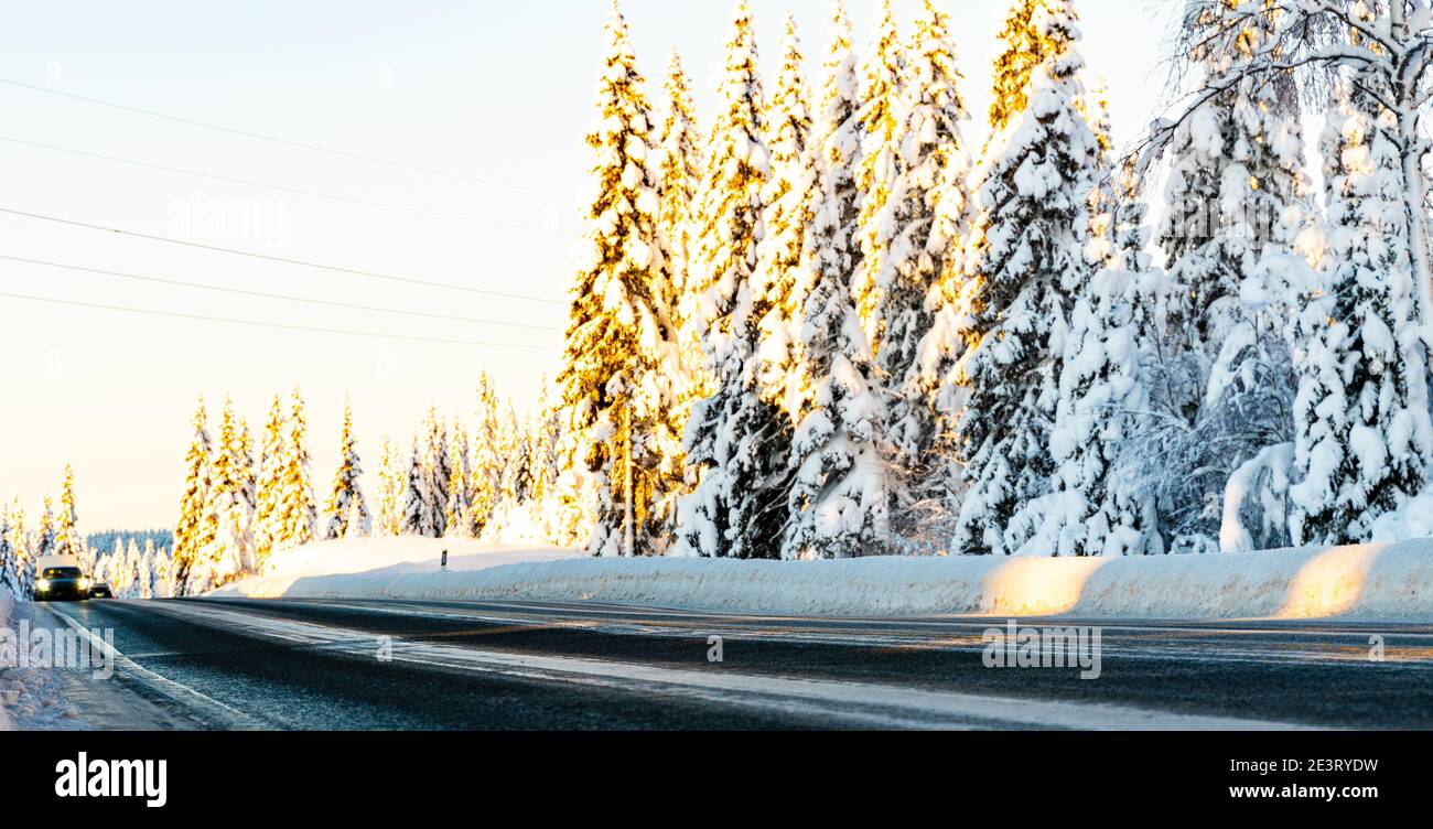 Traffic on an icy road running through a snow covered pine forest Stock ...