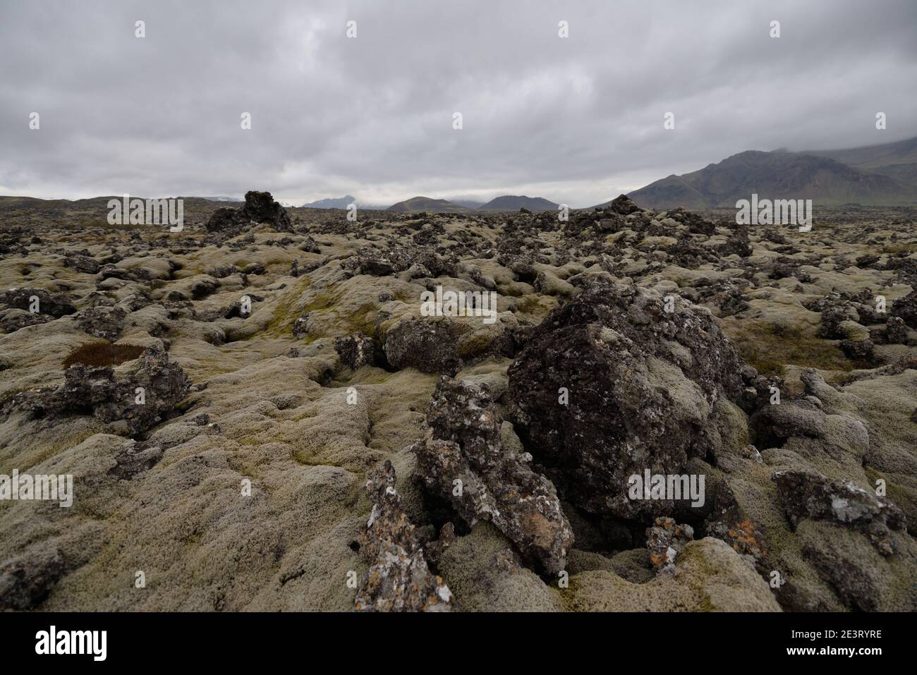 On the tundra in iceland hi-res stock photography and images - Alamy