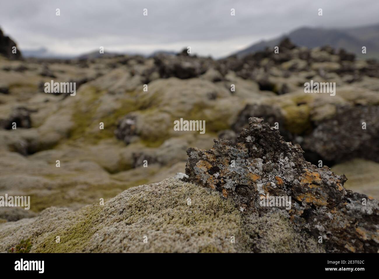 Green field on rocky hi-res stock photography and images - Alamy