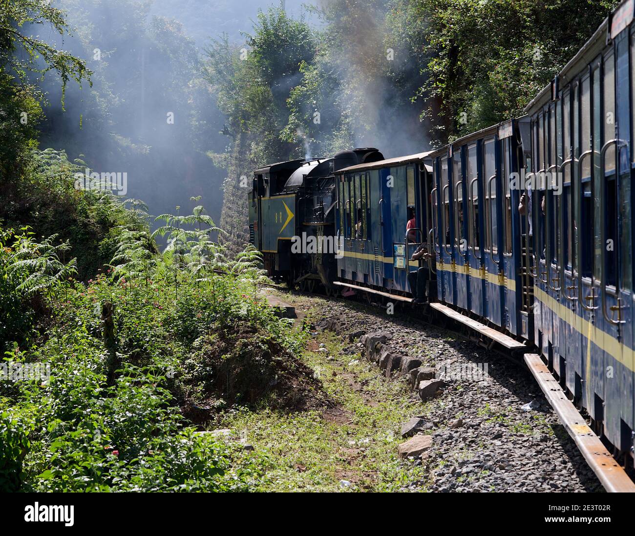 Nilgiri Mountain Railway, India Stock Photo - Alamy