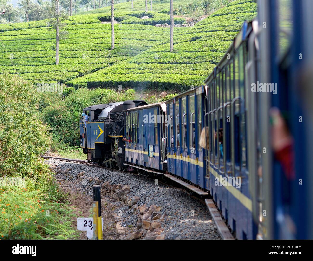 Nilgiri Mountain Railway, India Stock Photo - Alamy