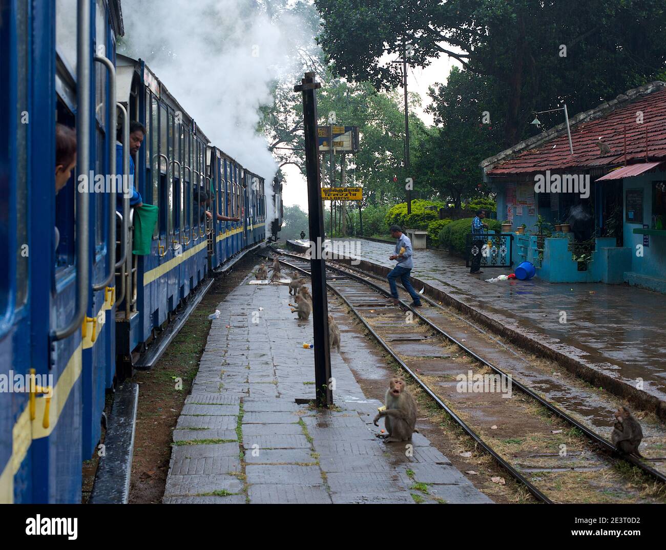 Nilgiri Mountain Railway, India Stock Photo - Alamy