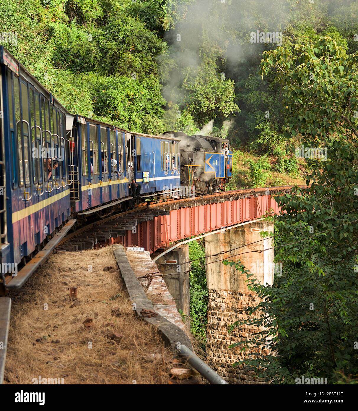 Nilgiri Mountain Railway, India Stock Photo - Alamy