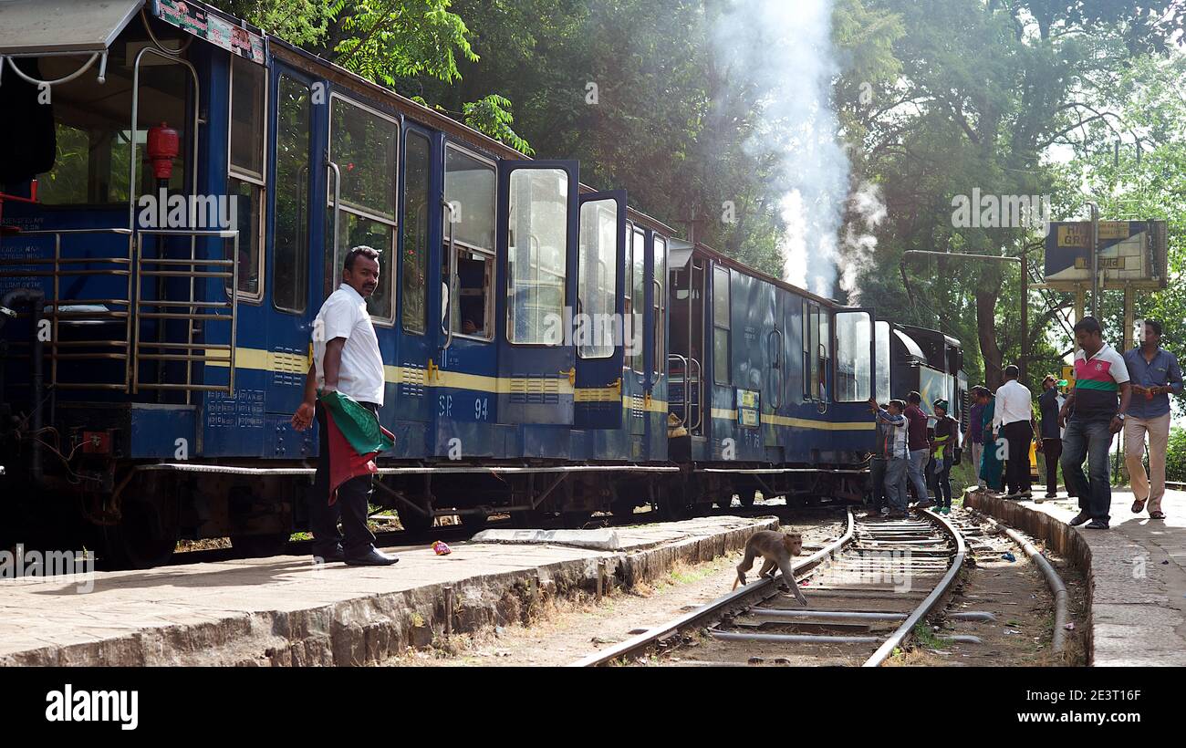 Nilgiri Mountain Railway, India Stock Photo - Alamy