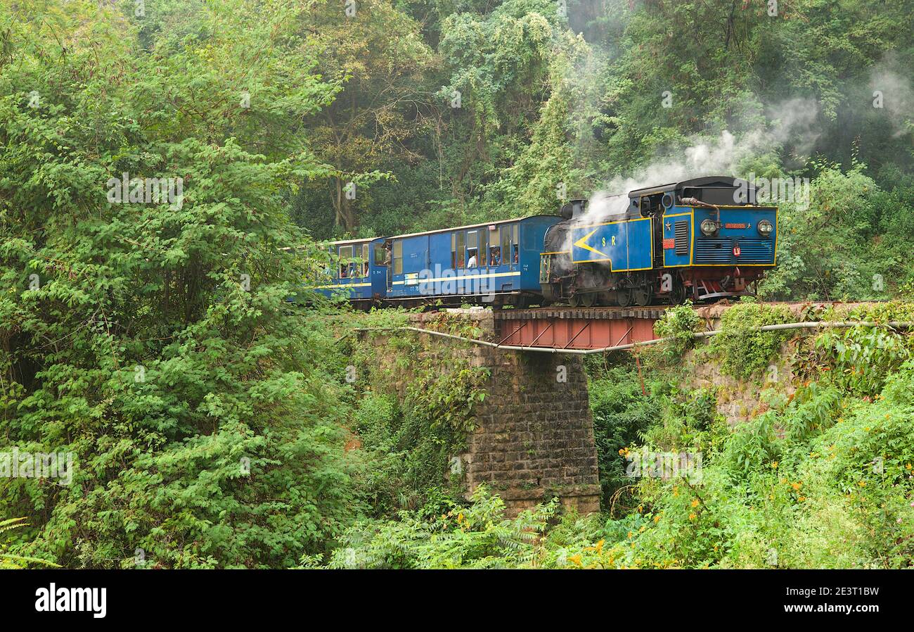 Nilgiri Mountain Railway, India Stock Photo - Alamy