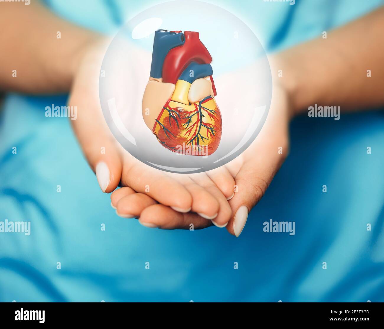 Cardiologist showing a virtual human heart model. Concept of cardiac ...