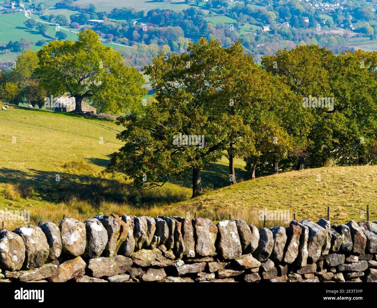 Offerton hi-res stock photography and images - Alamy