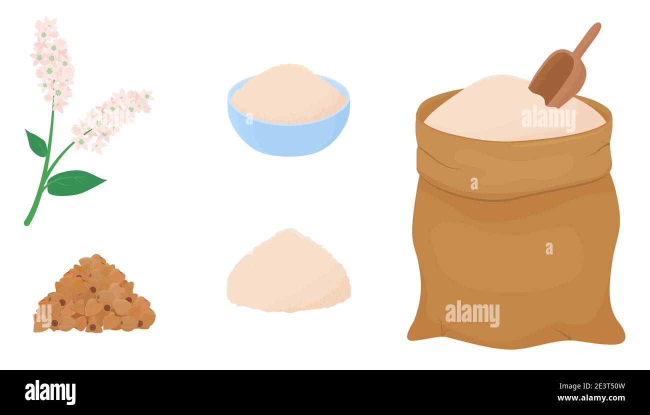 Buckwheat flour white Stock Vector Images - Alamy