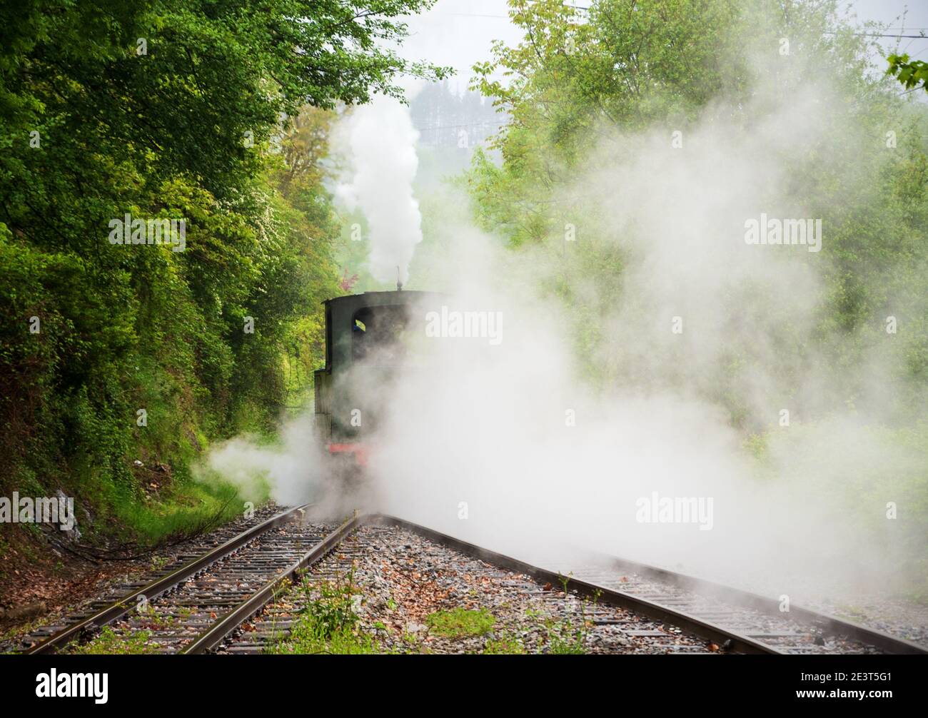 Steam train ride. Old times background Stock Photo - Alamy