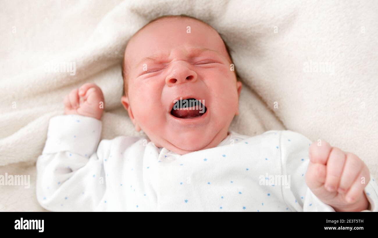 Closeup portrait of newborn baby crying and screaming while lying in ...