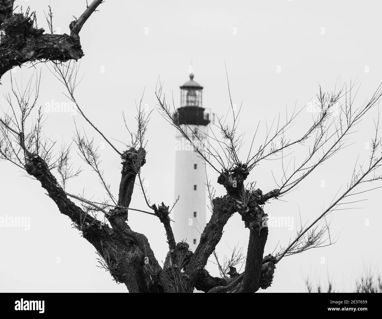 Old lighthouse seen through trees and mist in cloudy day. Biarritz ...