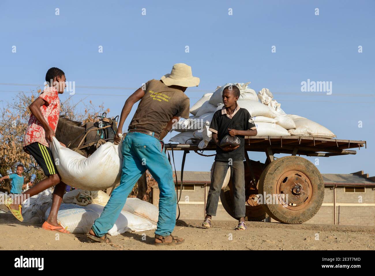 World help tigray hi-res stock photography and images - Alamy