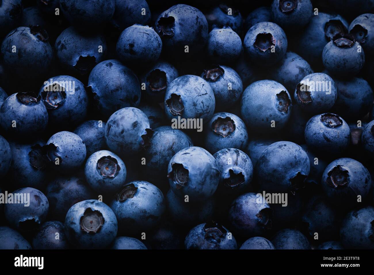 Blueberry dark background with shadows and light Stock Photo - Alamy