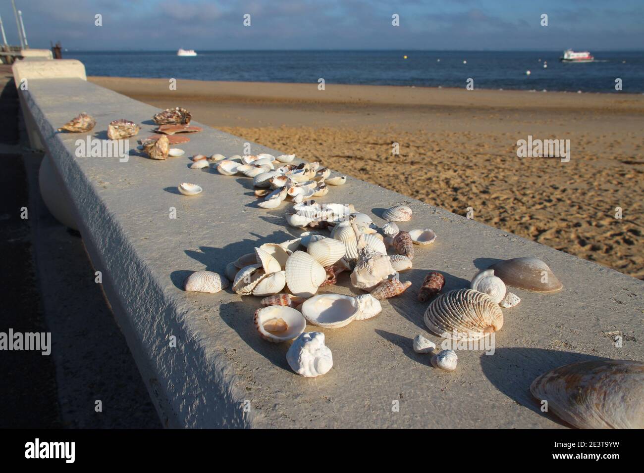 Accumulation Of Shells High Resolution Stock Photography and Images - Alamy