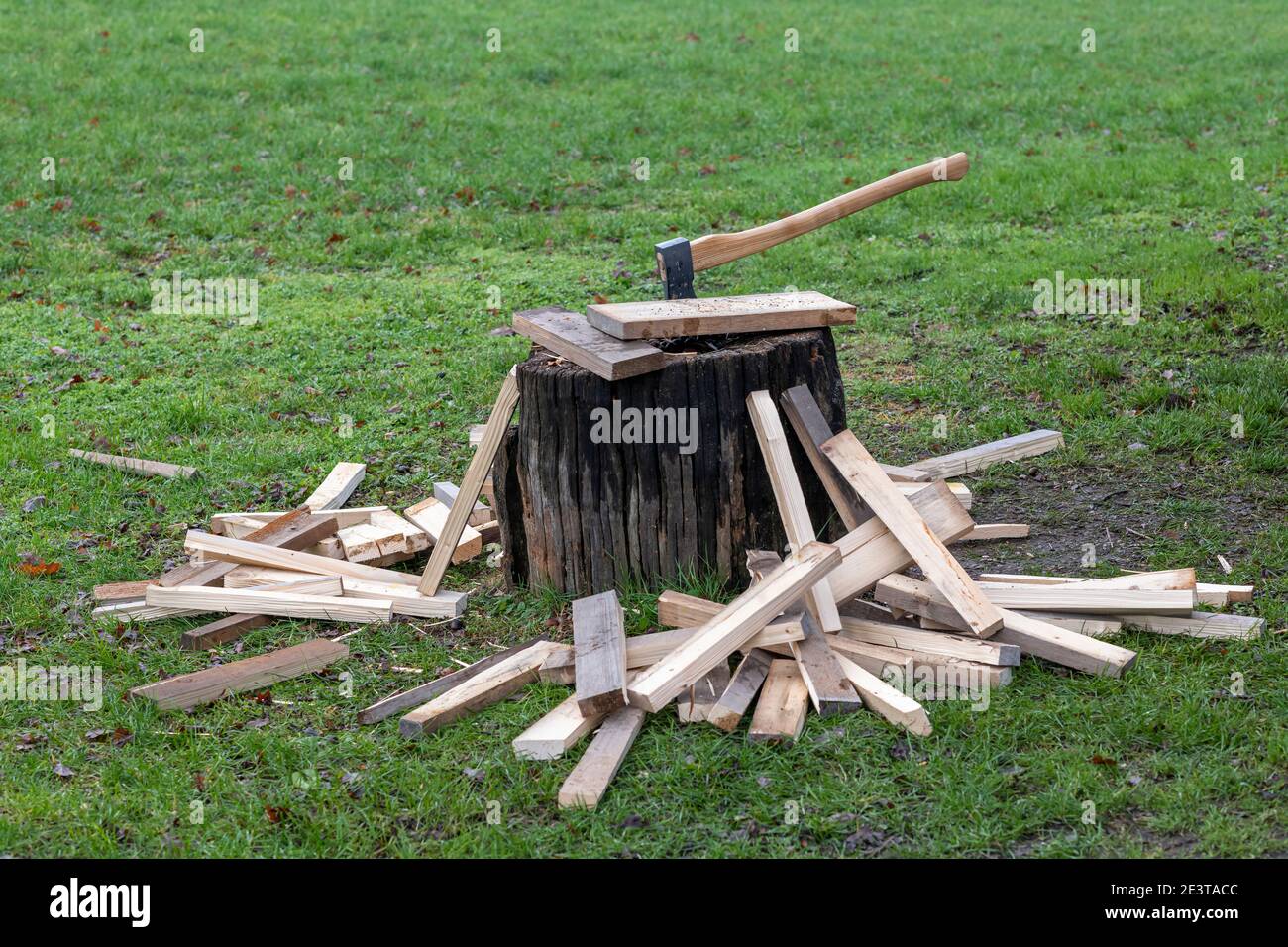 Head And Chopping Block High Resolution Stock Photography and Images ...