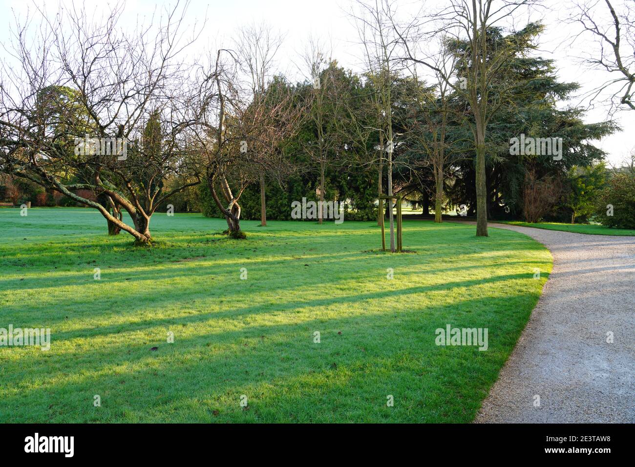 RENNES, FRANCE -26 DEC 2020- View of the Parc de Maurepas, a public ...