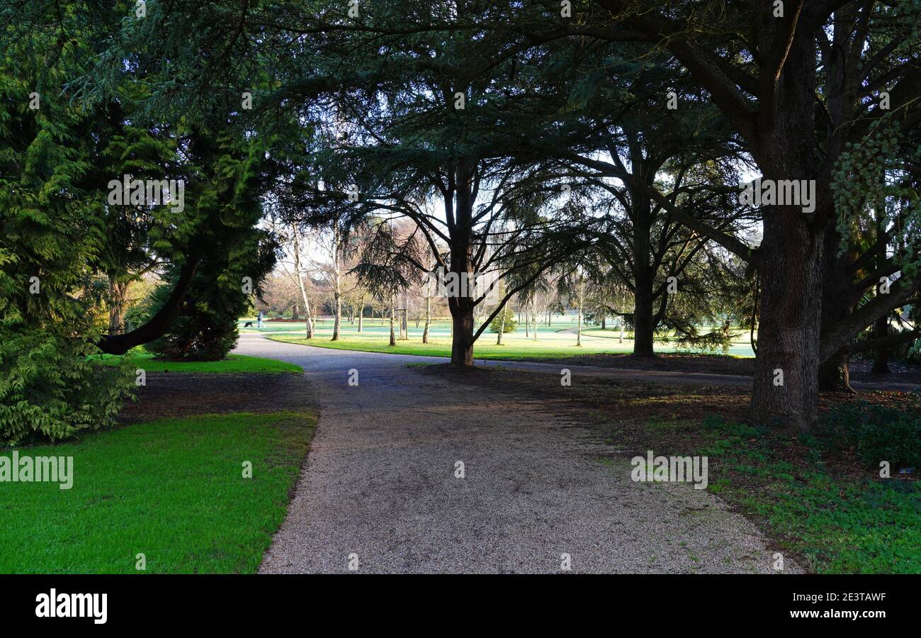 Lake maurepas hi-res stock photography and images - Alamy