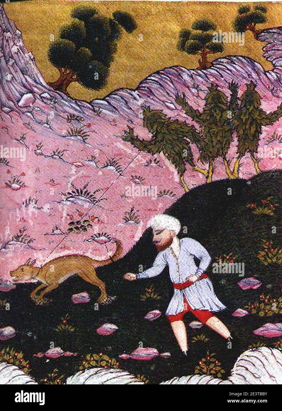 Mandragore hi-res stock photography and images - Alamy