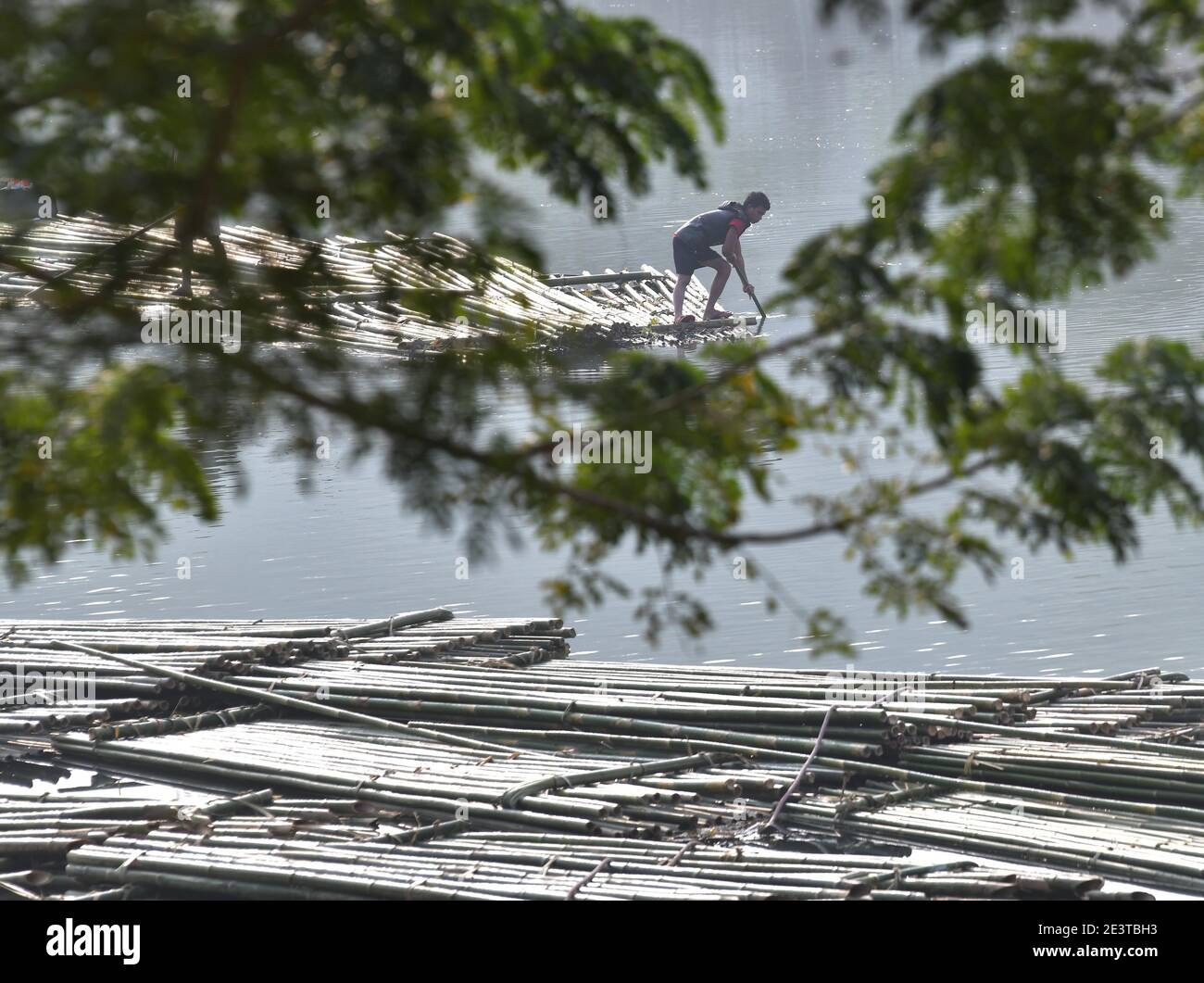Laborers collect heaps of bamboo on a river to be sold at a floating ...