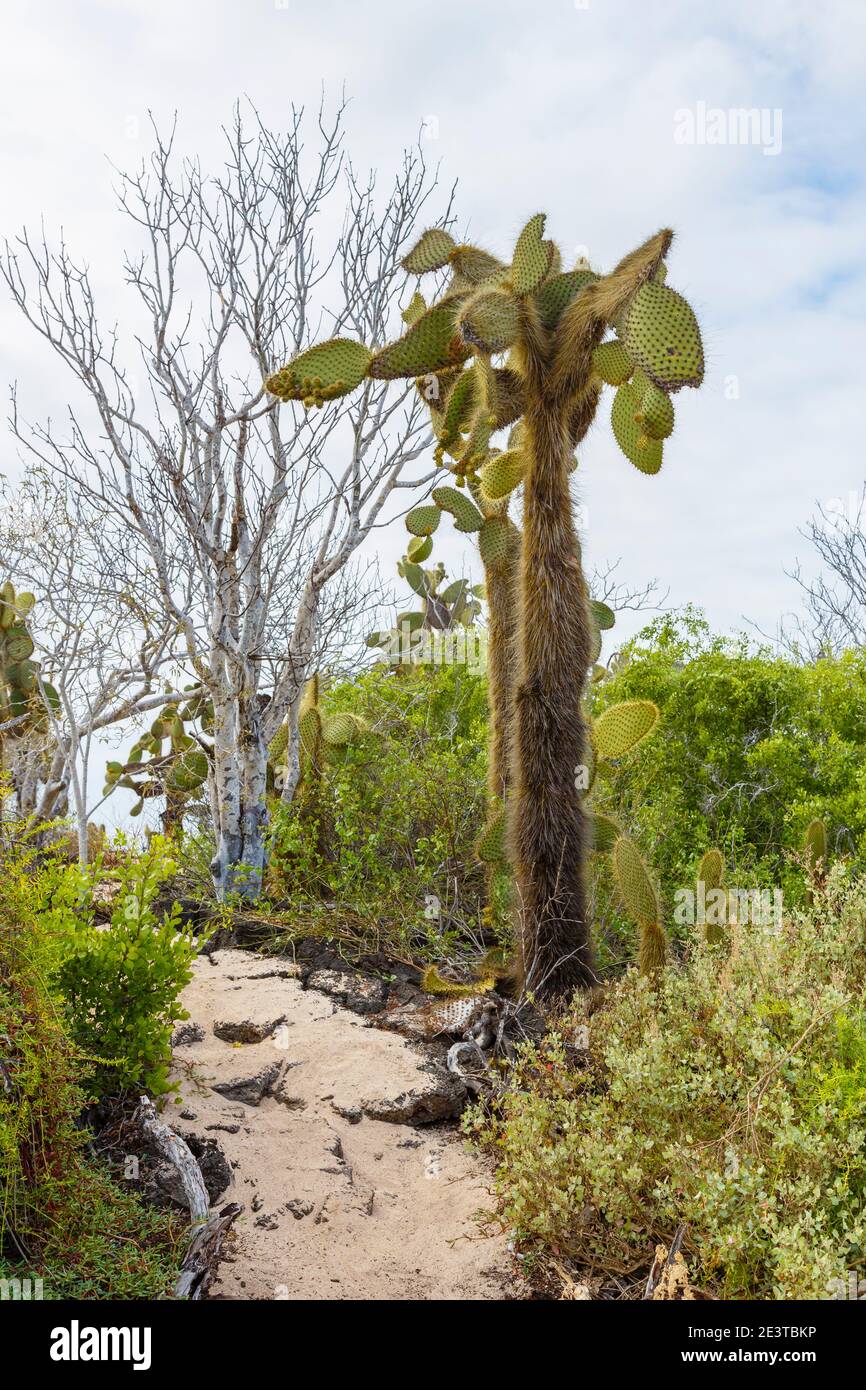 The spike heritage centre hi-res stock photography and images - Alamy