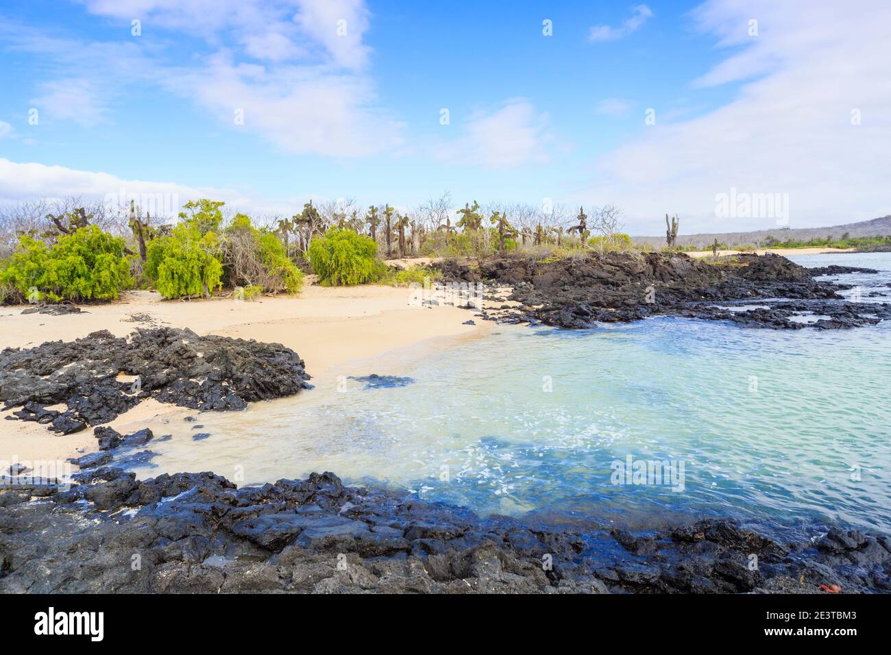 Sandy beach and shoreline with typical dark volcanic rocks at Dragon ...