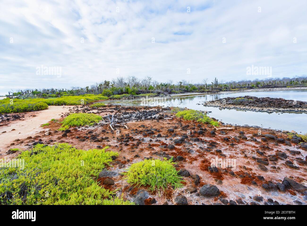 Shoreline and typical rocky beach with dark volcanic rock boulders at ...