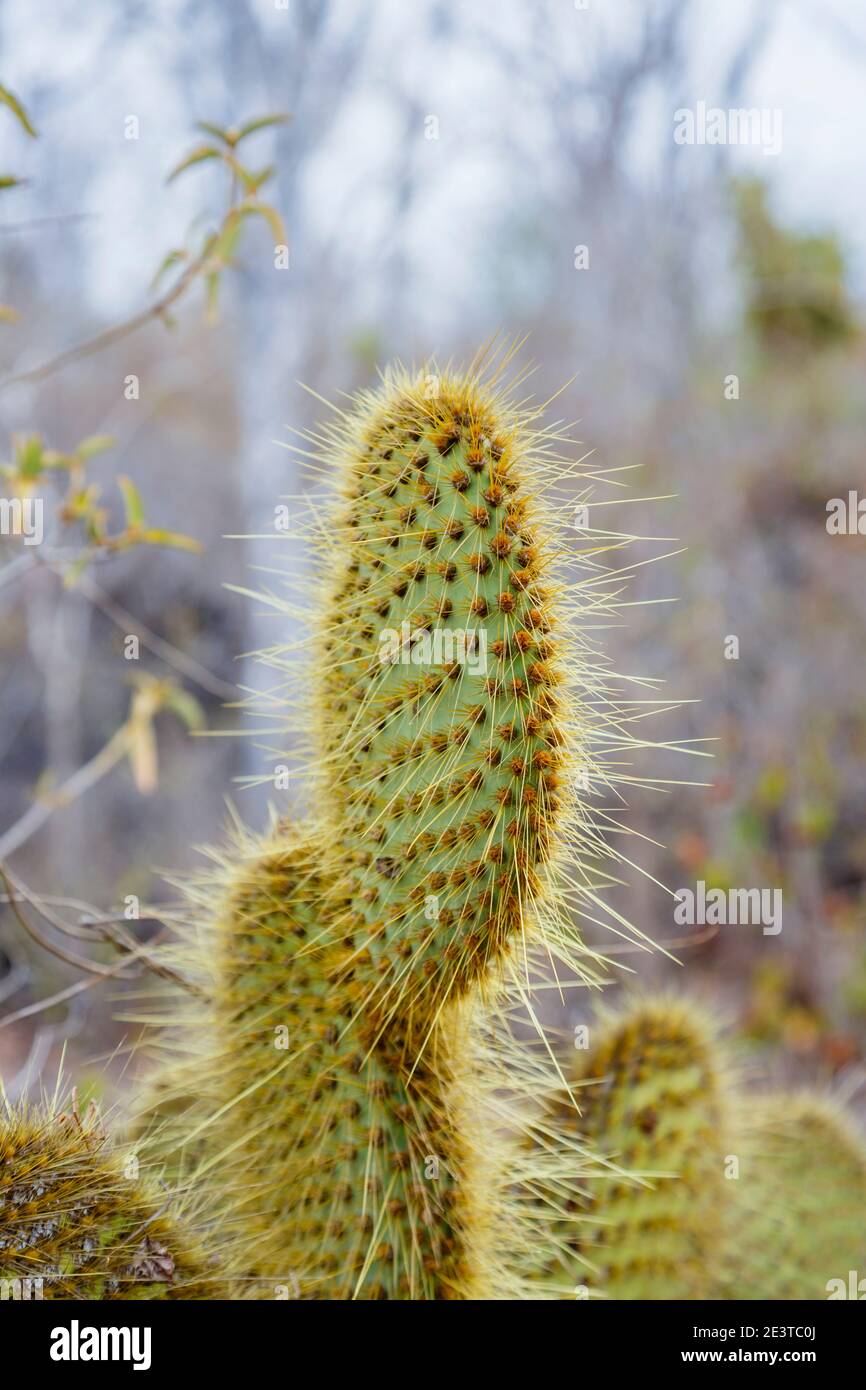 The spike heritage centre hi-res stock photography and images - Alamy