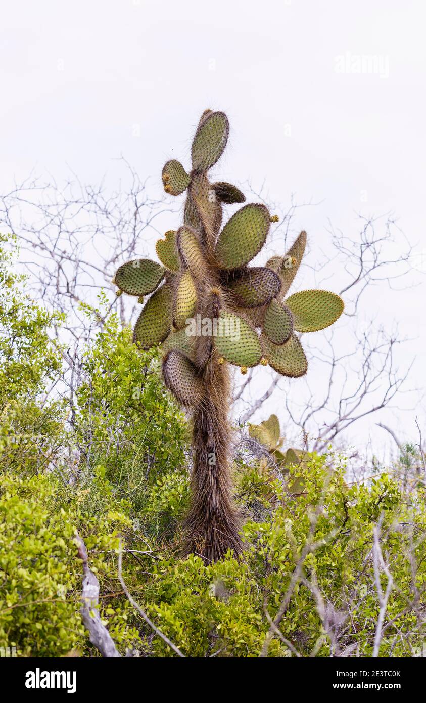 The spike heritage centre hi-res stock photography and images - Alamy