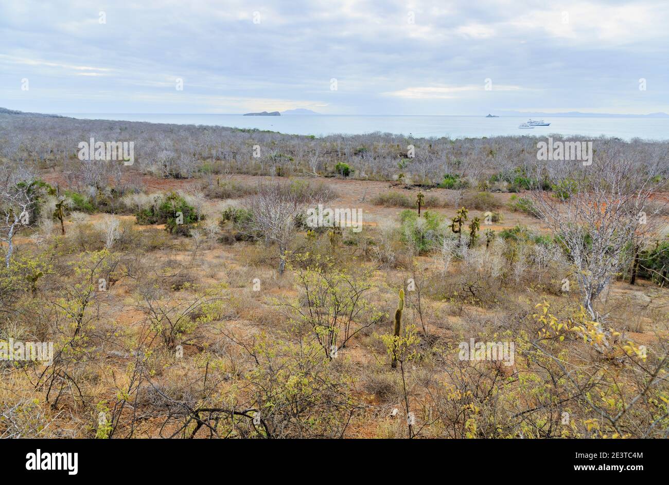 View of typical dry, arid landscape with leafless trees and scrubland ...