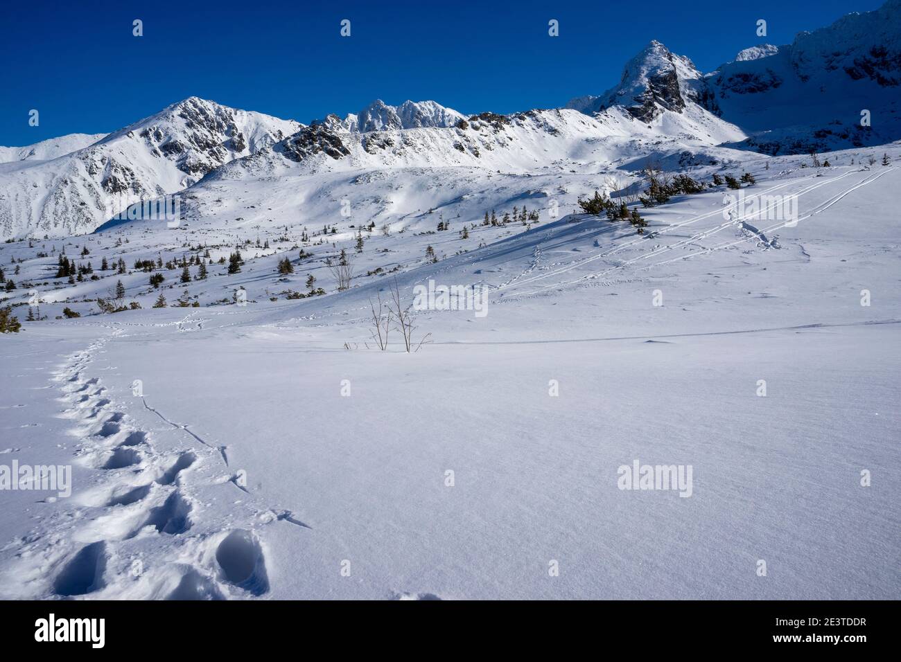 Winter landscape of the Tatra Mountains Stock Photo - Alamy